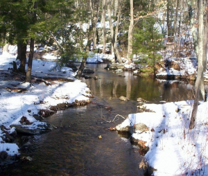 Holiday Acres Campground – Since 1945